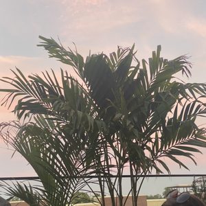 3UP ROOFTOP LOUNGE - 170 Photos & 115 Reviews - 201 W Main St, Carmel ...