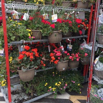 SAM’S CLUB - Updated August 2025 - 25 Photos & 23 Reviews - 815 Clepper ...