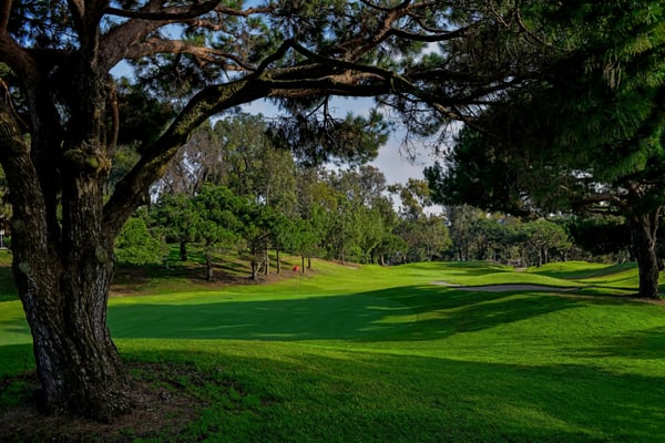 LOMAS SANTA FE EXECUTIVE GOLF COURSE - Updated January 2025 - 73 Photos ...
