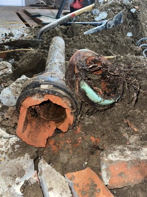 EZ Sewers Rooter and Plumbing - Updated June 2025 - 176 Photos - 434 ...