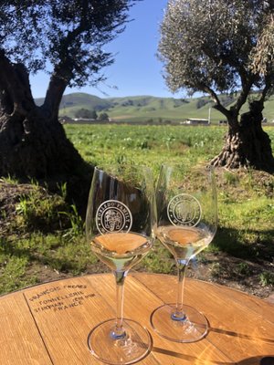 ROBLEDO FAMILY WINERY - 314 Photos & 240 Reviews - 21901 Bonness Rd ...