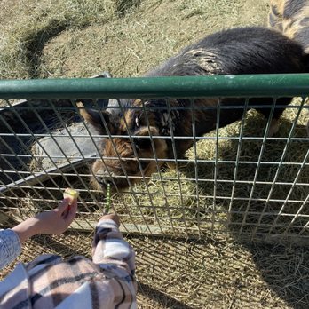 BARBER FAMILY FARM - Updated December 2024 - 316 Photos & 36 Reviews ...