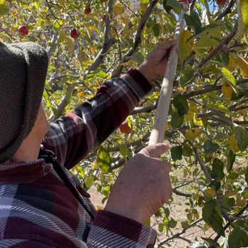 RILEY’S FARM - Updated August 2024 - 870 Photos & 405 Reviews - 12261 S ...