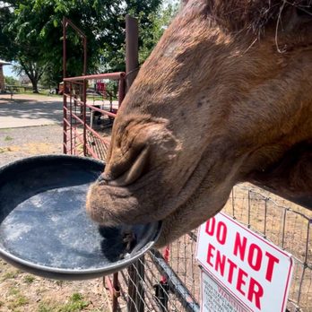 HUDDIN HOMESTEAD FUN FARM - Updated October 2025 - 45 Photos - 1666 ...