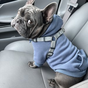 KRAGEN AUTO PARTS - Updated January 2026 - 2500 San Bruno Ave, San ...