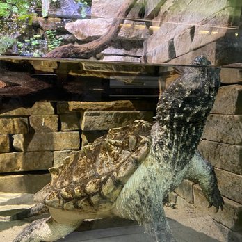 BELLE ISLE AQUARIUM - 382 Photos & 83 Reviews - 3 Inselruhe Ave ...