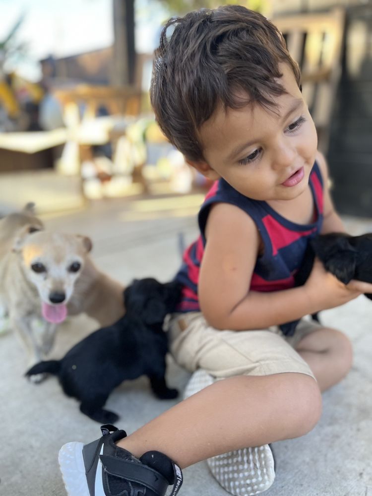 KLASSY KUTS - Updated December 2025 - 67 Photos & 83 Reviews - 1258 W ...