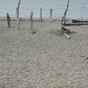 ALKI BEACH PARK - 1249 Photos & 368 Reviews - 2665 Alki Ave SW, Seattle ...