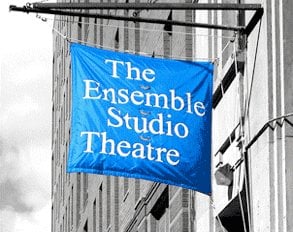 ENSEMBLE STUDIO THEATRE - 549 W 52nd St, New York, New York ...