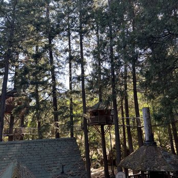 OUT’N’ABOUT TREEHOUSE TREESORT - Updated December 2025 - 314 Photos ...