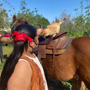 THE DINGLE FAMILY FARM AND STABLES - 501 Photos & 34 Reviews - Petting ...