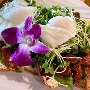 TOAST 101 - 305 Photos & 261 Reviews - 4699 E Speedway Blvd, Tucson, AZ ...