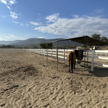 OLD TOWN RANCH - Updated October 2025 - 24 Photos - 43550 Dash For Cash ...