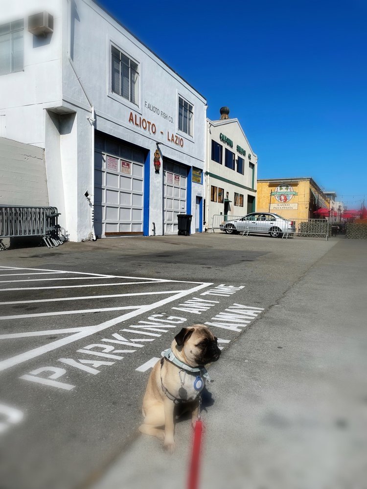 ALIOTO LAZIO FISH COMPANY - 52 Photos & 81 Reviews - 440 Jefferson St ...