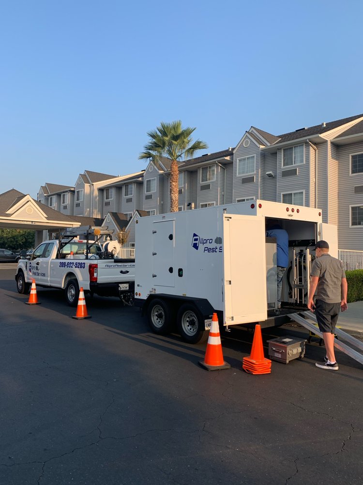 ALLPRO PEST SERVICES - Updated November 2025 - 16 Photos & 56 Reviews ...