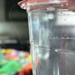 THIRSTEA - Updated April 2025 - 274 Photos & 210 Reviews - 6585 ...