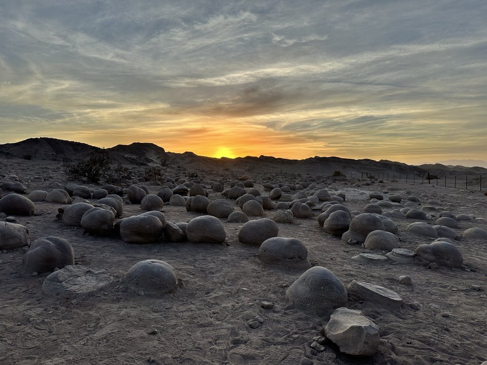 PUMPKIN PATCH - Updated July 2025 - 30 Photos - Ocotillo Wells, California - Local Flavor - Yelp