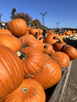 LINVILLA ORCHARDS - Updated March 2025 - 1123 Photos & 490 Reviews ...