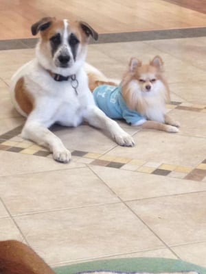 CAMP RUFF HOUSE - Updated December 2025 - 14 Reviews - 3923 88th St NE ...