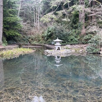 MINGUS PARK - Updated December 2025 - 58 Photos & 11 Reviews - 1100 ...