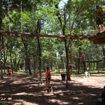 TRINITY FOREST ADVENTURE PARK - Updated January 2025 - 146 Photos & 79 ...