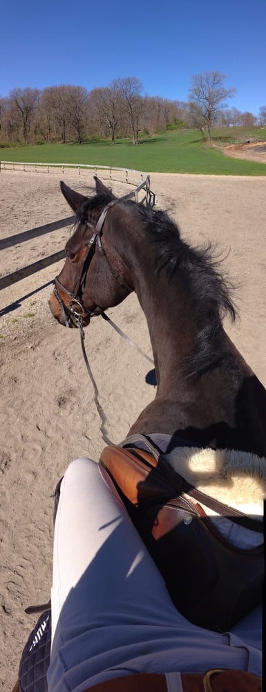 STANHOPE STABLES - Updated December 2025 - 7 Downs Rd, Huntington, New ...