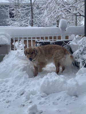 PET RANCH - Updated December 2025 - 39 Photos & 86 Reviews - 3833 E ...