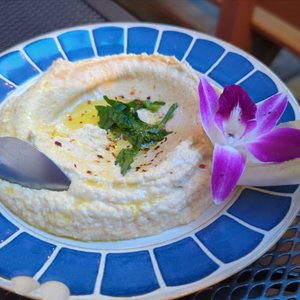 BEYOND PITA - 63 Photos & 179 Reviews - Mediterranean - 82 Church St ...