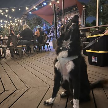 FRIENDS FOR LIFE ANIMAL RESCUE - Updated January 2026 - 43 Photos & 59 ...