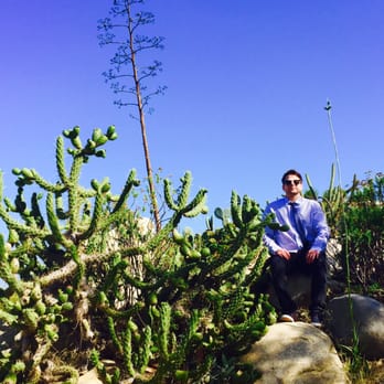 KATE O SESSIONS CACTUS GARDEN - Updated August 2024 - 55 Photos & 15 ...