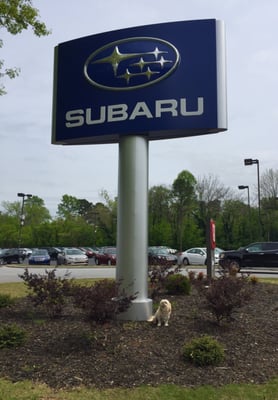 STIVERS DECATUR SUBARU - CLOSED - Updated December 2025 - 28 Photos ...
