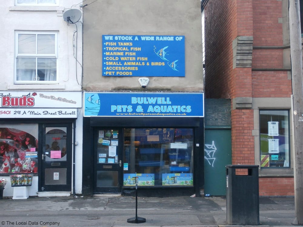BULWELL PETS & AQUATICS - Updated September 2025 - 293 Main Street ...
