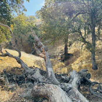 SHELL RIDGE OPEN SPACE - Updated October 2025 - 61 Reviews & 424 Photos ...