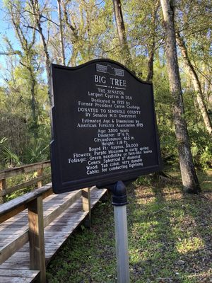 BIG TREE PARK - Updated January 2025 - 152 Photos & 41 Reviews - 761 ...