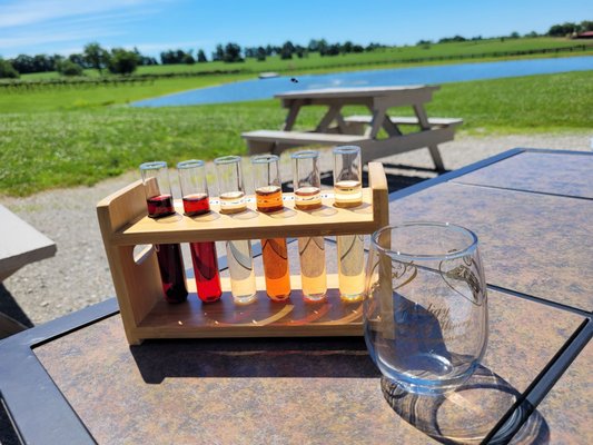PRODIGY VINEYARDS & WINERY - Updated June 2025 - 154 Photos & 74 ...