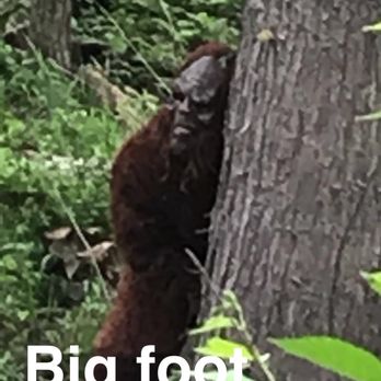 FORMAR NATURE PRESERVE & ARBORETUM - Updated June 2025 - 25 Photos & 13 ...