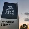 WAUGH DRIVE BAT COLONY - Updated December 2024 - 112 Photos & 46 ...