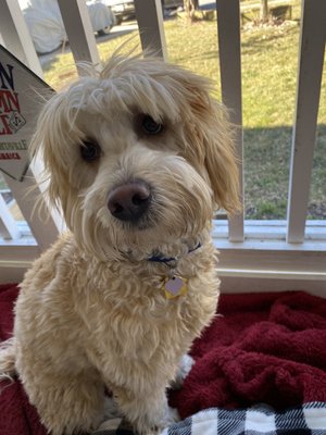 AL LYNN ANIMAL HOSPITAL - Updated September 2025 - 13 Photos & 45 ...