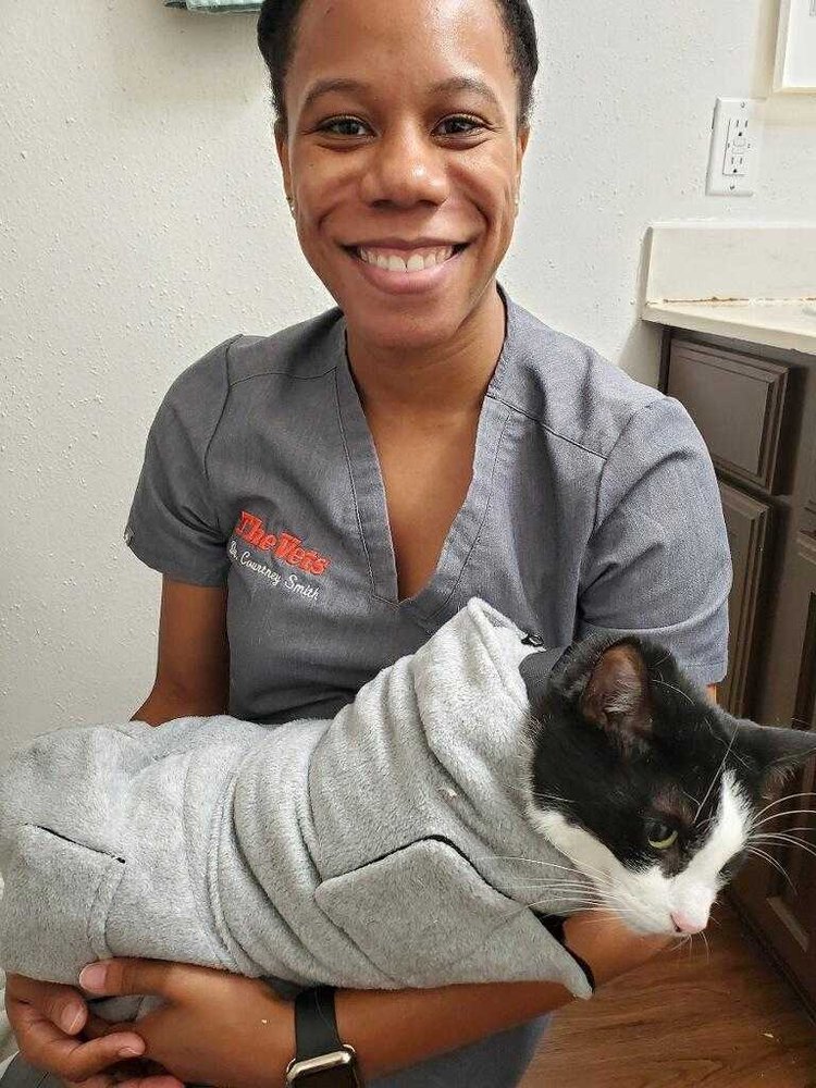 THE VETS - MOBILE VET CARE IN HOUSTON - 20 Photos - Houston, Texas ...