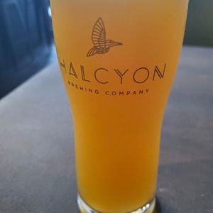 HALCYON BREWING COMPANY - 22 Photos & 16 Reviews - Breweries - 8564 ...