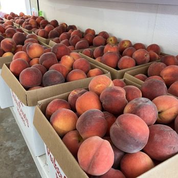 HUTTON PEACH FARM - Updated December 2025 - 25 Photos & 22 Reviews - 210 Greenwood Cut Off Rd ...