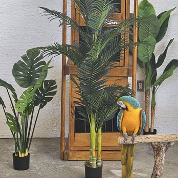 JUNGLE ISLAND - Updated June 2025 - 1294 Photos & 531 Reviews - 1111 ...