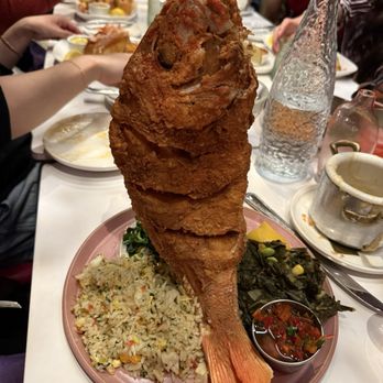 FIA - Updated October 2025 - 68 Photos & 19 Reviews - 261 S 13th St ...