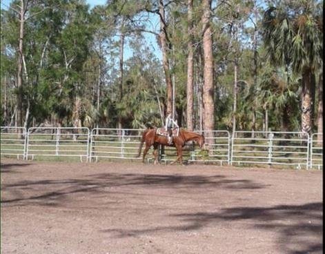 PINEY ACRES TRAINING STABLES - Updated May 2025 - Naples, Florida ...