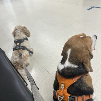 DIRK BUTCHKO PRO VET - Updated July 2025 - 165 Photos & 360 Reviews ...