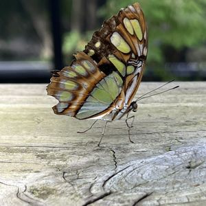 FUNLAND GOLF COURSE - Updated November 2025 - 401 14th St SE, Decatur ...