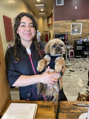 SUDS N PUPS DOG GROOMING AND WASH - Updated July 2025 - 84 Photos & 83 Reviews - 5160 Waring Rd ...