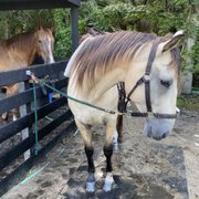 HIDDEN PALMS RANCH - 63 Photos & 13 Reviews - 1410 Oakway, Sanford, FL ...