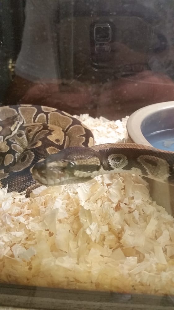 CREATURE CASTLE - CLOSED - Updated May 2025 - 18 Reviews - 1935 W ...