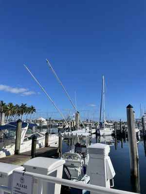 DINNER KEY MARINA - Updated October 2025 - 95 Photos & 22 Reviews ...